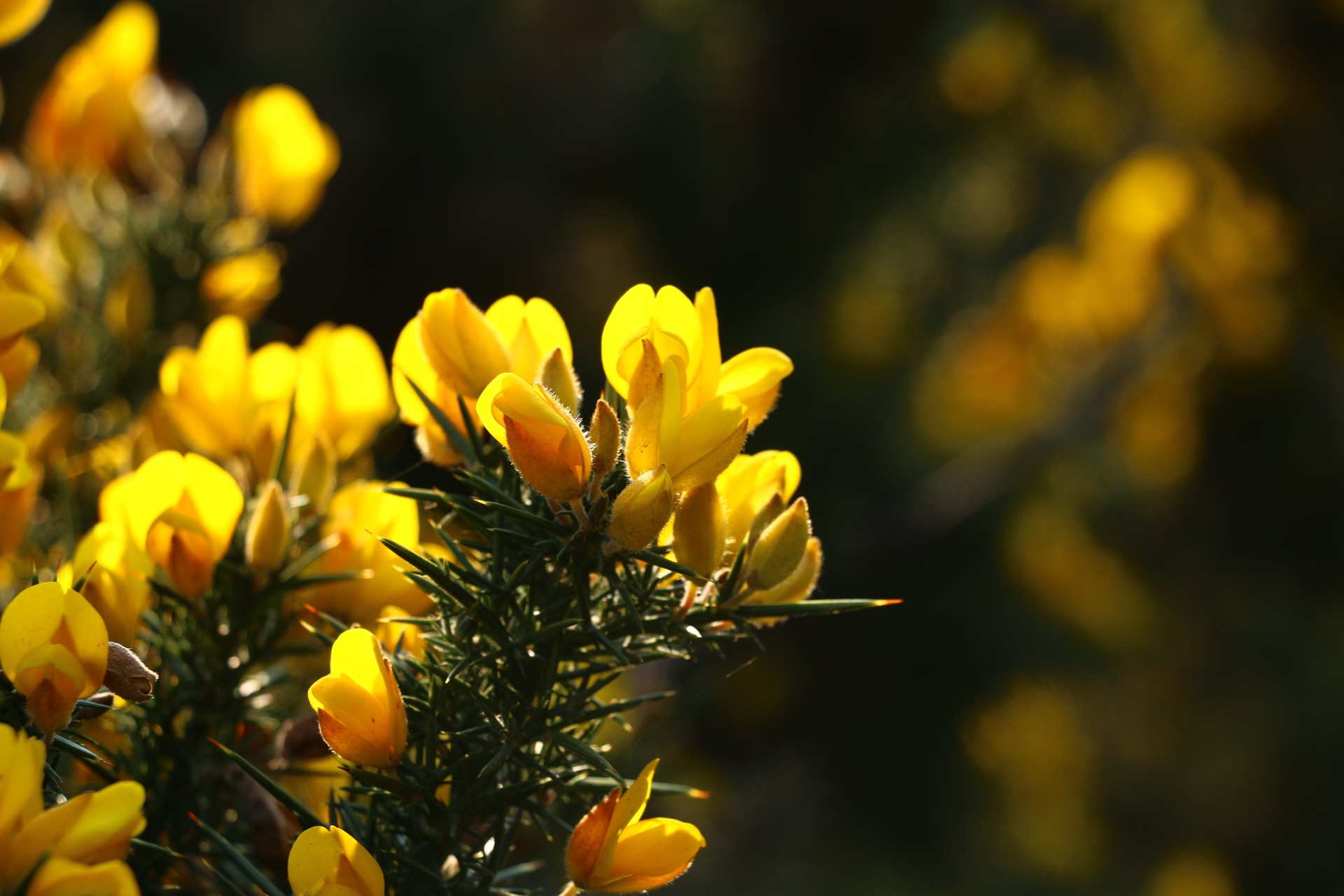 Hay fever-proof ventilation for spring and summer - Ventilation Megastore