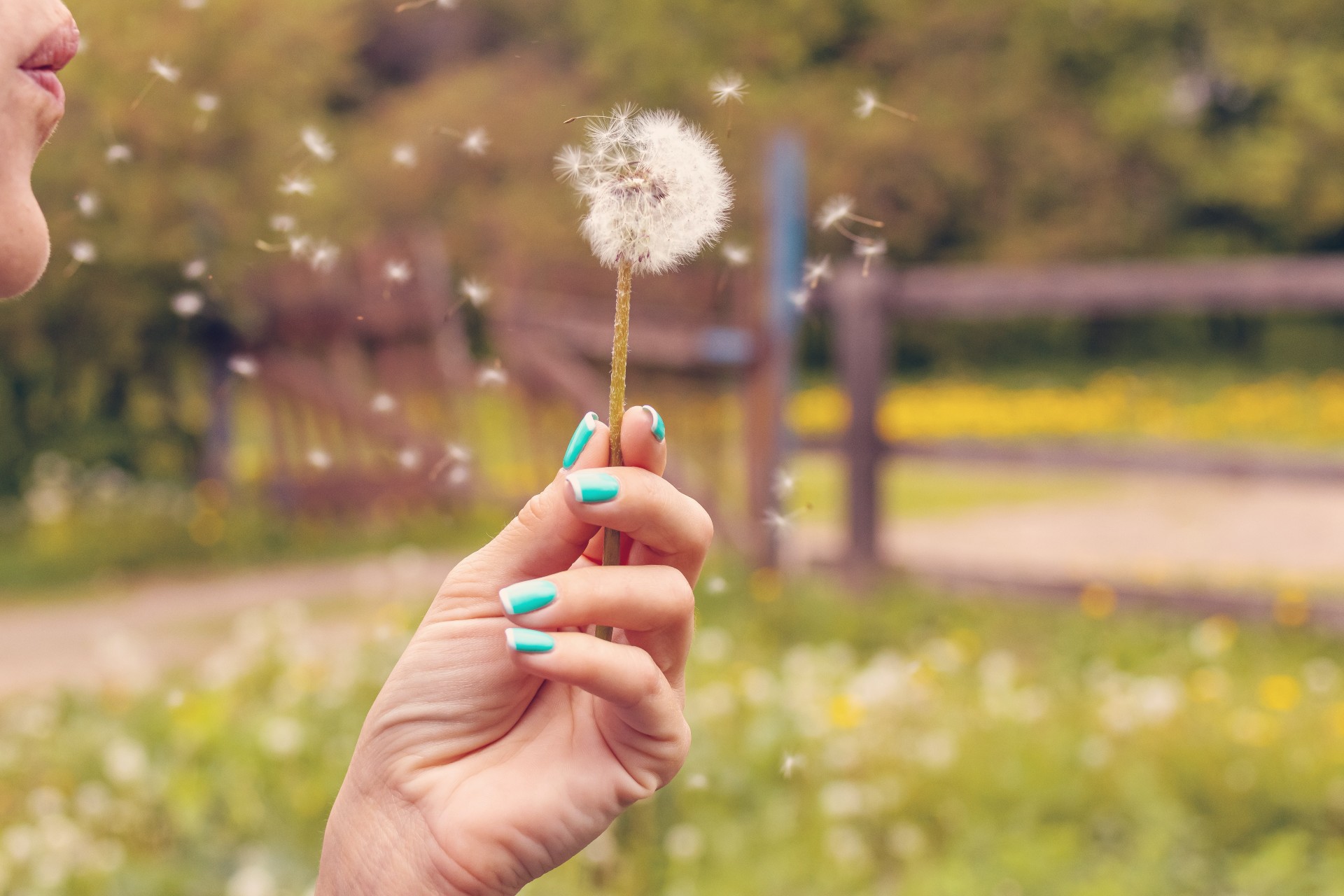 Hay fever-proof ventilation for spring and summer - Ventilation Megastore